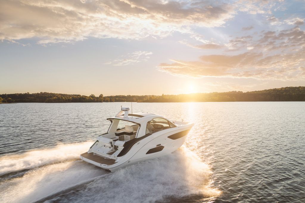 Sea ray sundancer store